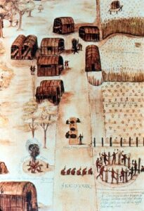 The Paintings of John White – DHR