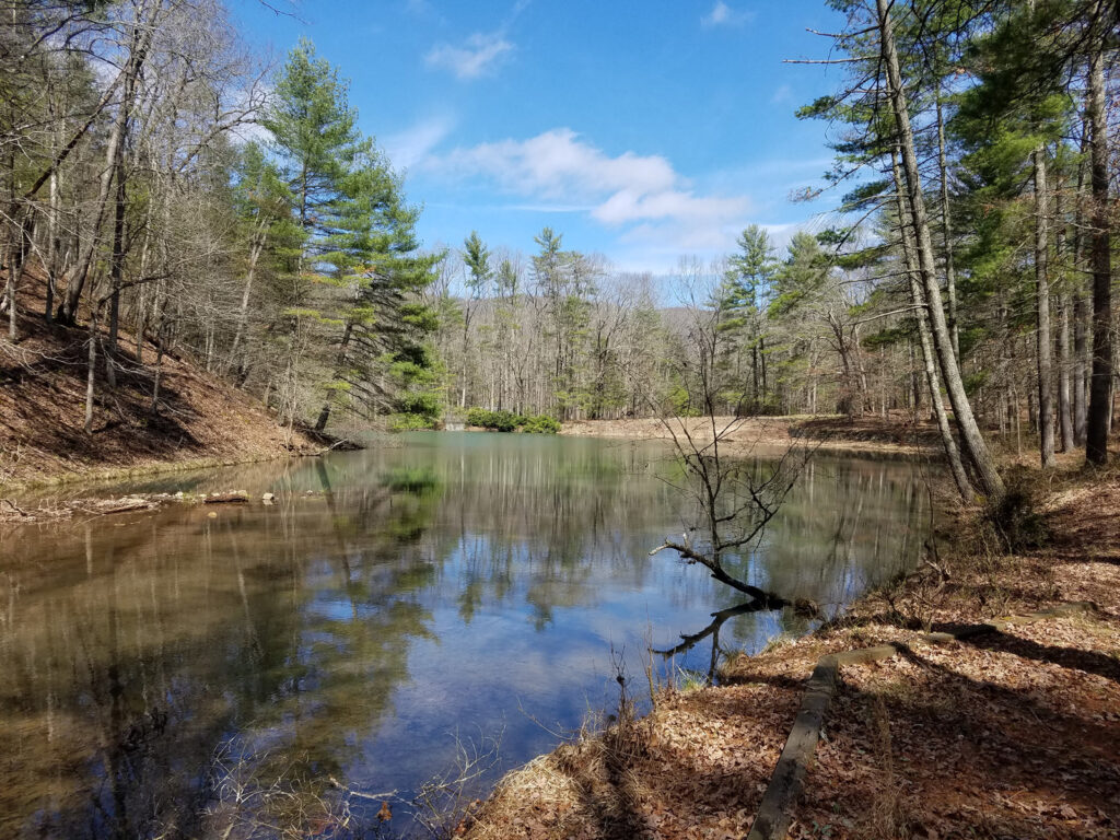 Rosedale Historic District – DHR