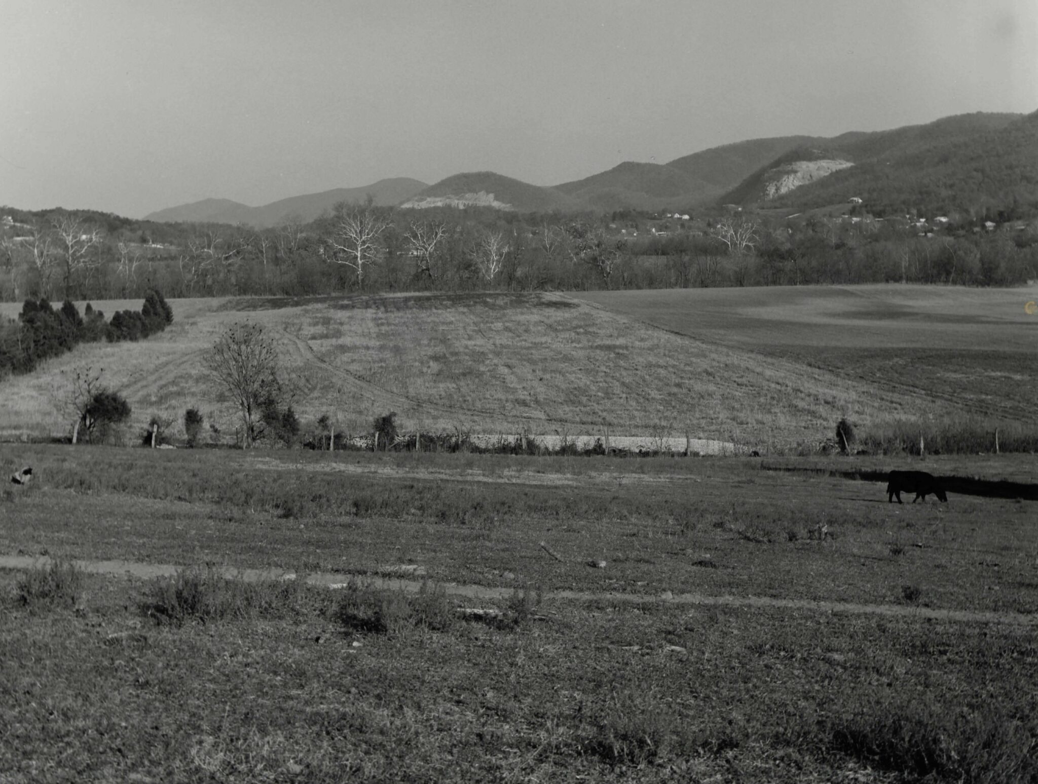 Looney Mill Creek Site – DHR