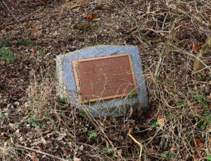 Patrick Henry’s Birthplace Archaeological Site – DHR