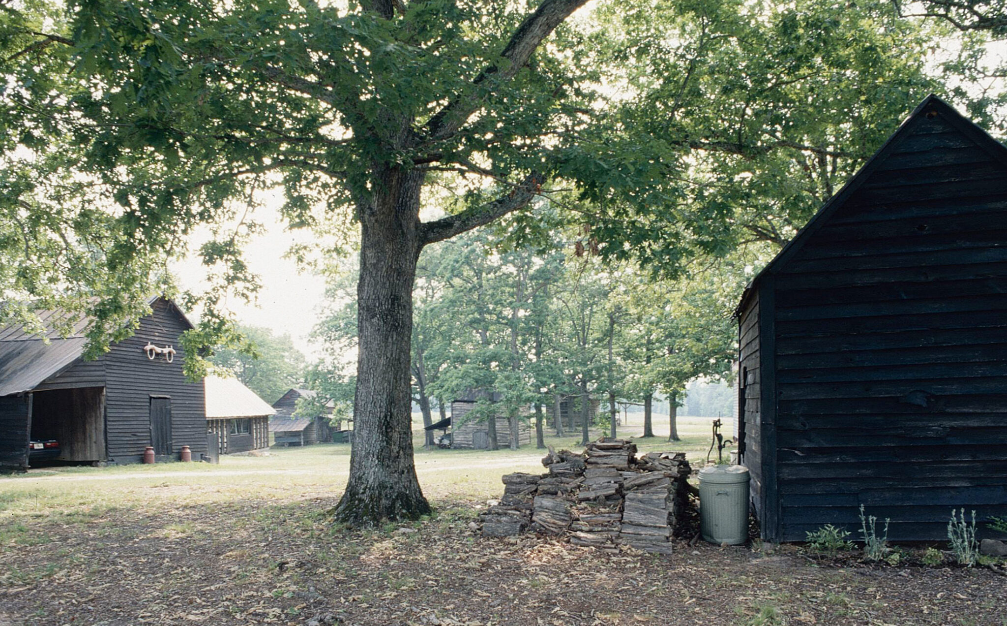 Red Fox Farm – DHR