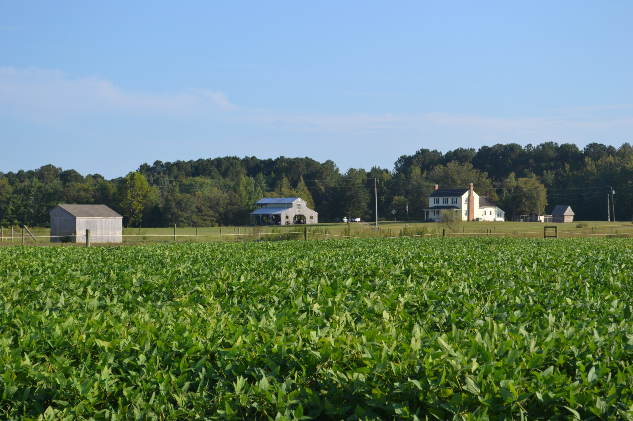 Sebrell Rural Historic District – DHR