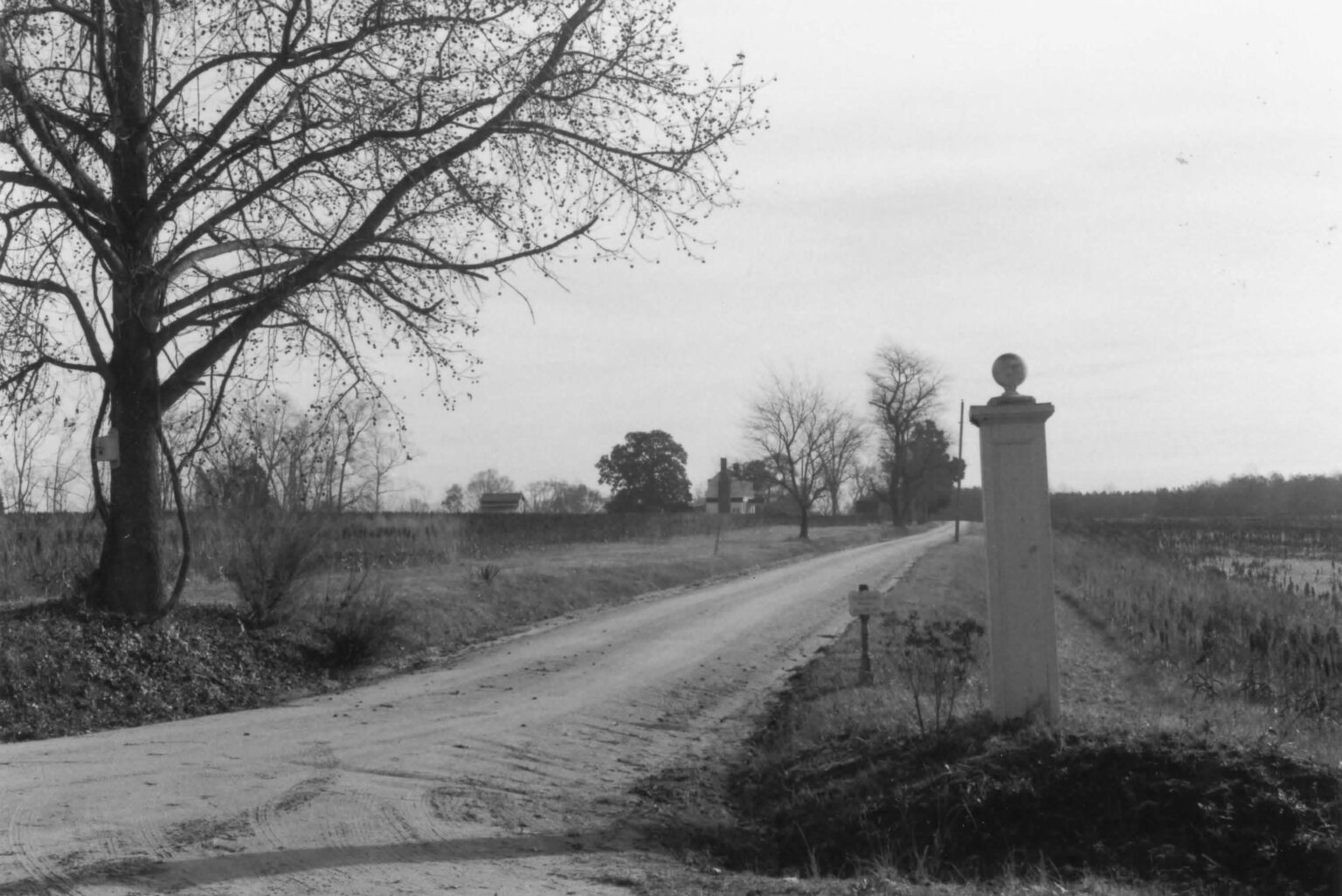 Hunting Quarter – DHR