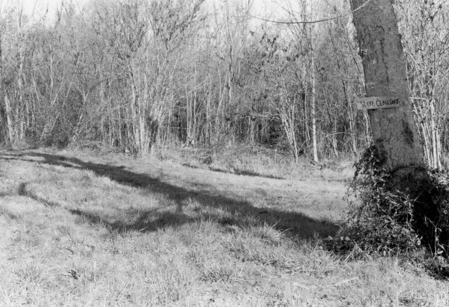 Hunting Quarter – DHR