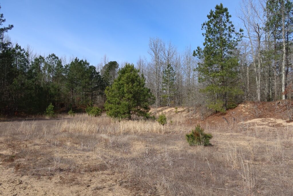 Cactus Hill Archaeological Site – DHR
