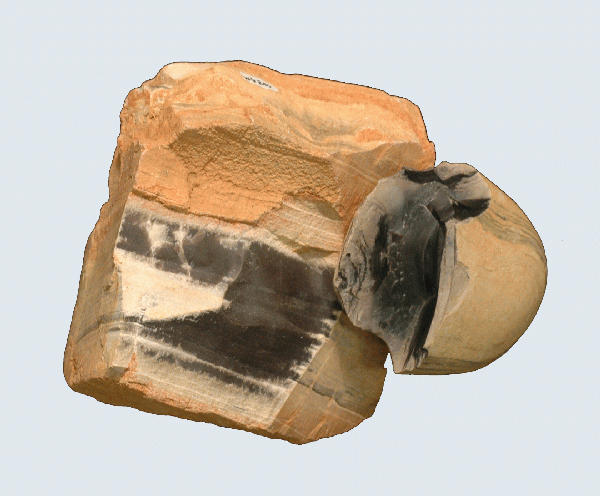 Black Chert