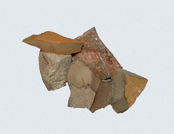 Silicified Mudstone